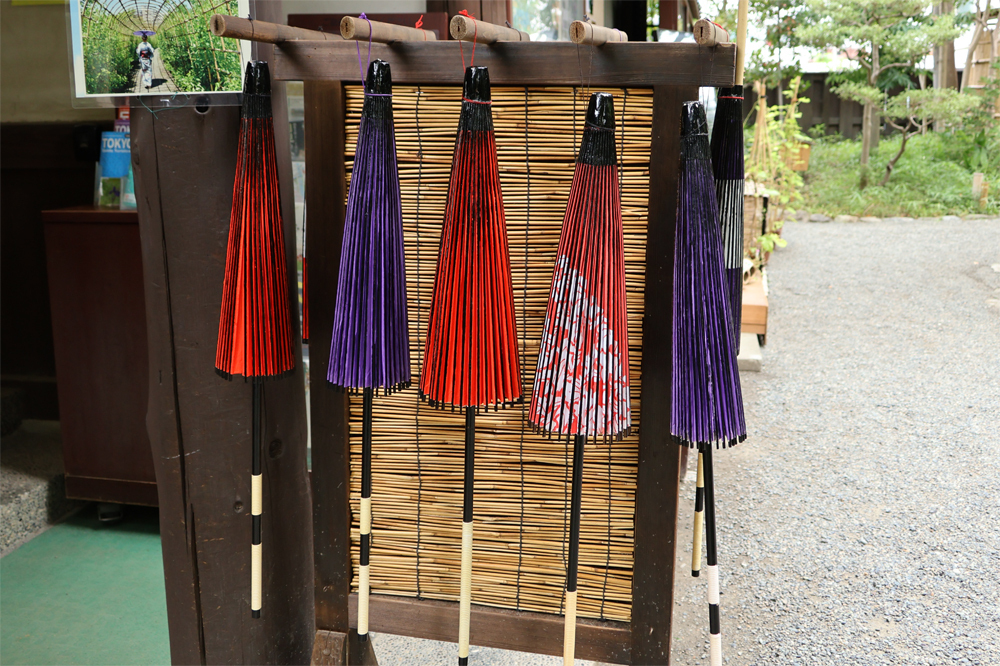 向島百花園にて_25年9月（1） 福禄寿尊の案内碑 ＆ マキエハギ、キキョウ、アサガオ、ヒマワリ、アレチヌスビトハギなど: 長さんのリタイア生活